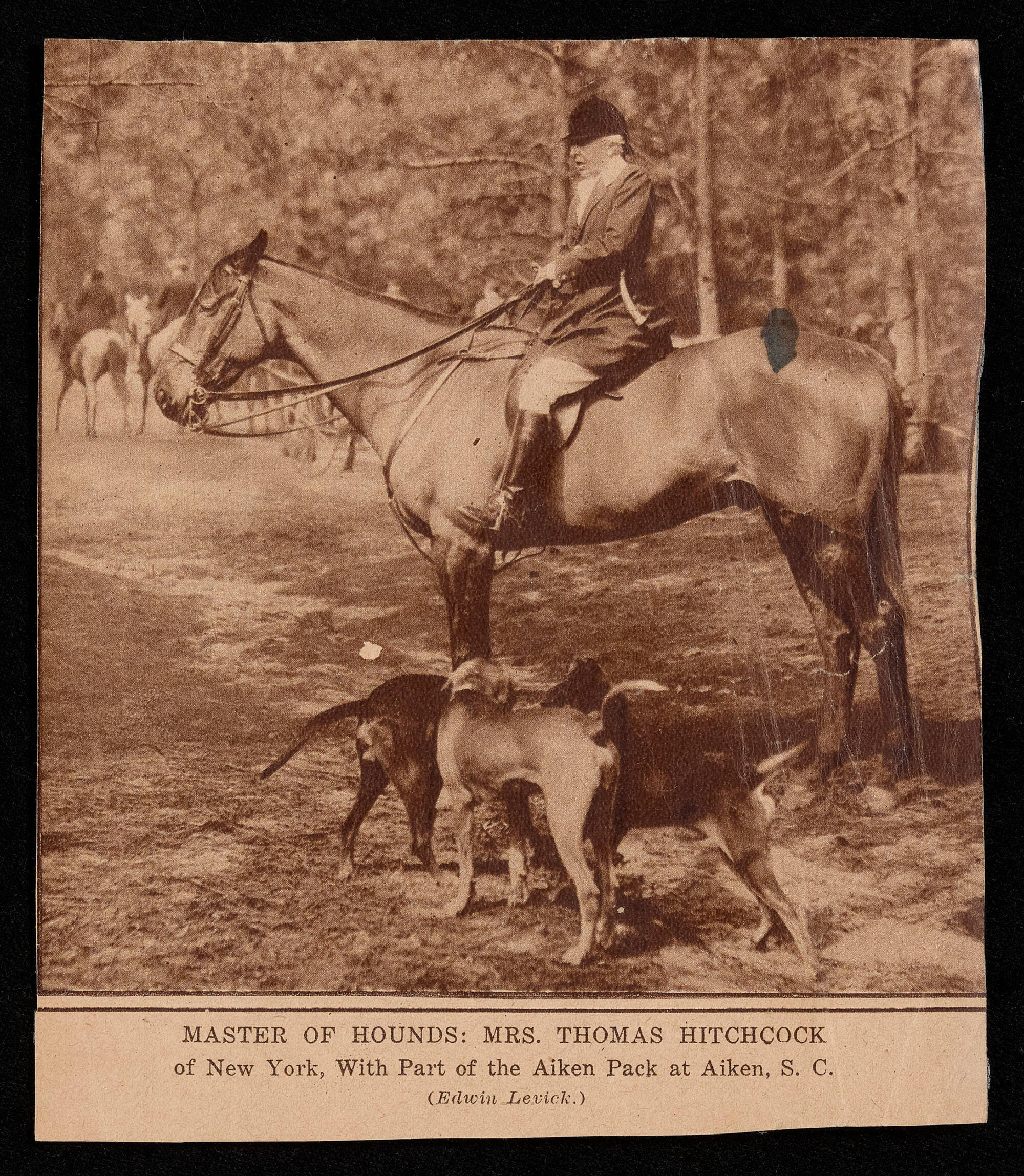 "Master of Hounds: Mrs. Thomas Hitchcock" | Isabella Stewart Gardner Museum