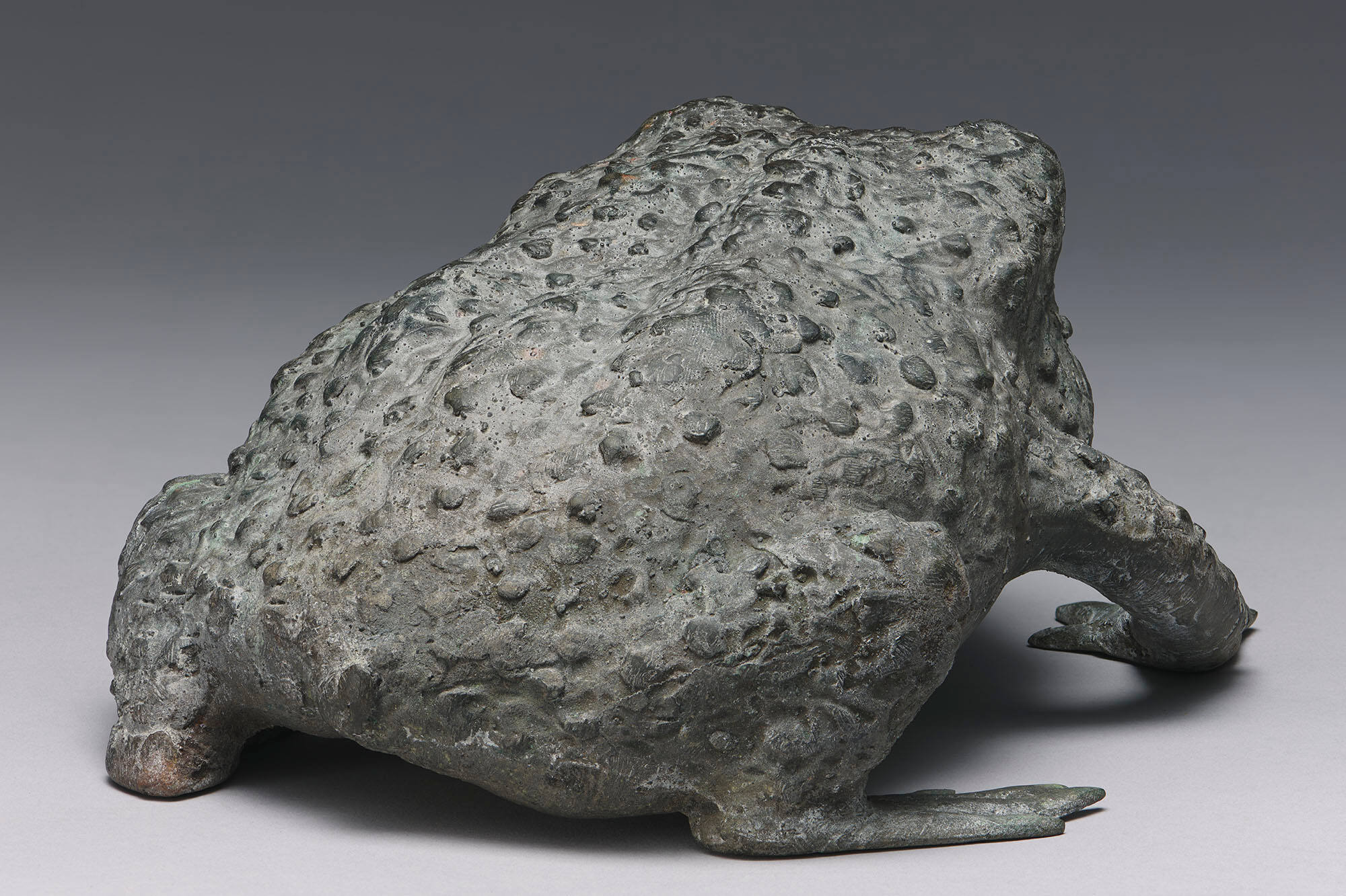 Toad | Isabella Stewart Gardner Museum