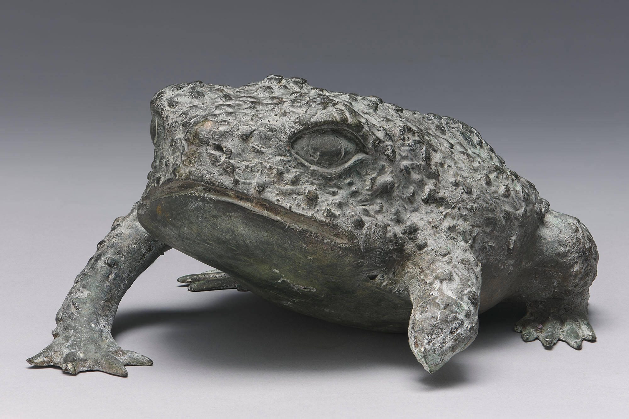 Toad | Isabella Stewart Gardner Museum