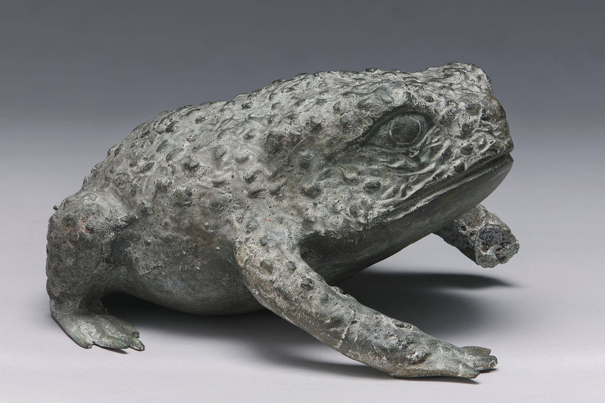 Toad | Isabella Stewart Gardner Museum