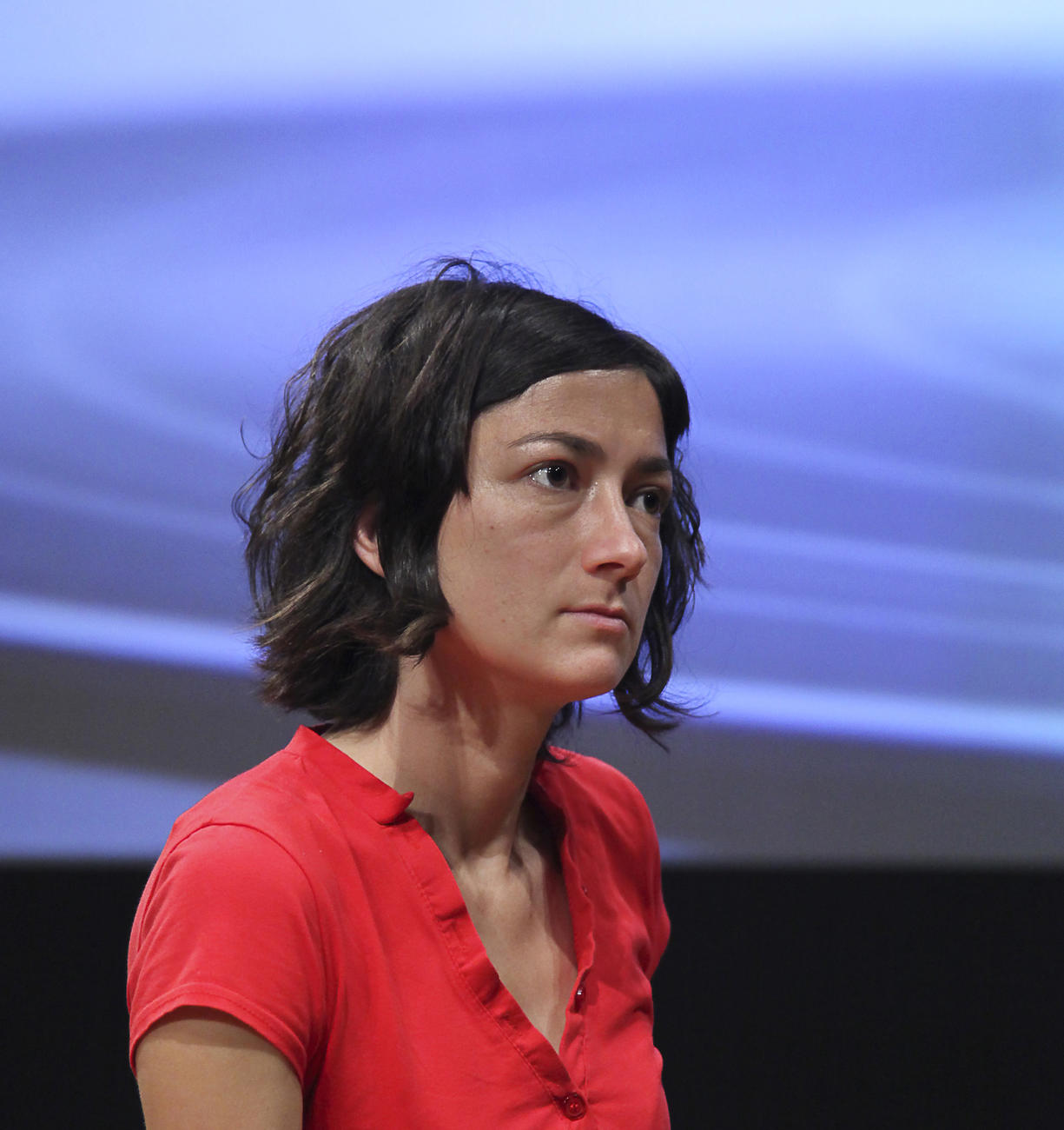 Su-Mei Tse | Isabella Stewart Gardner Museum