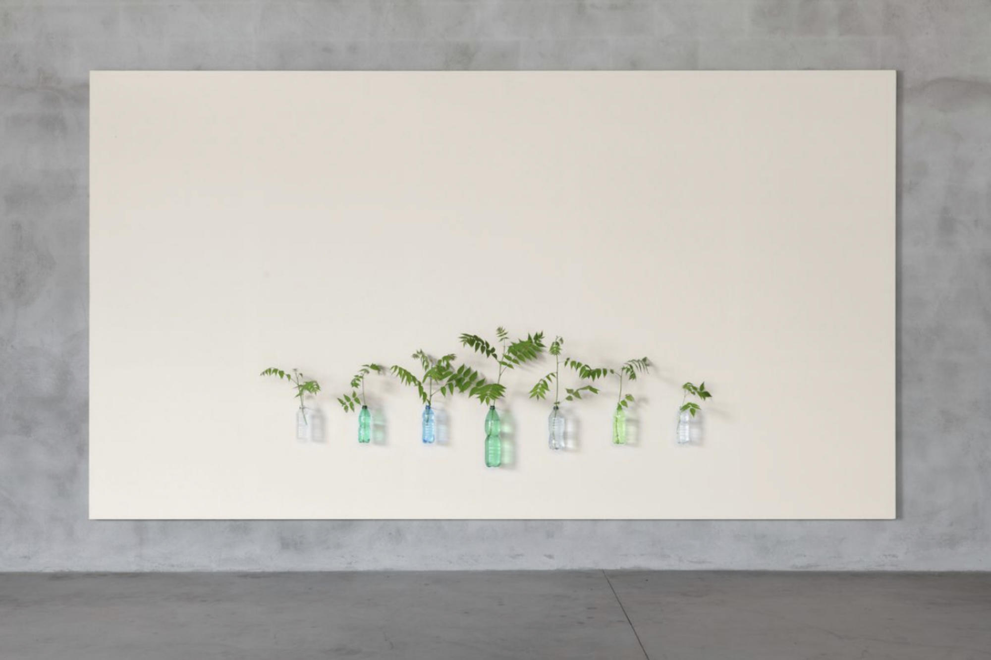 Presence of Plants in Contemporary Art | Isabella Stewart Gardner Museum