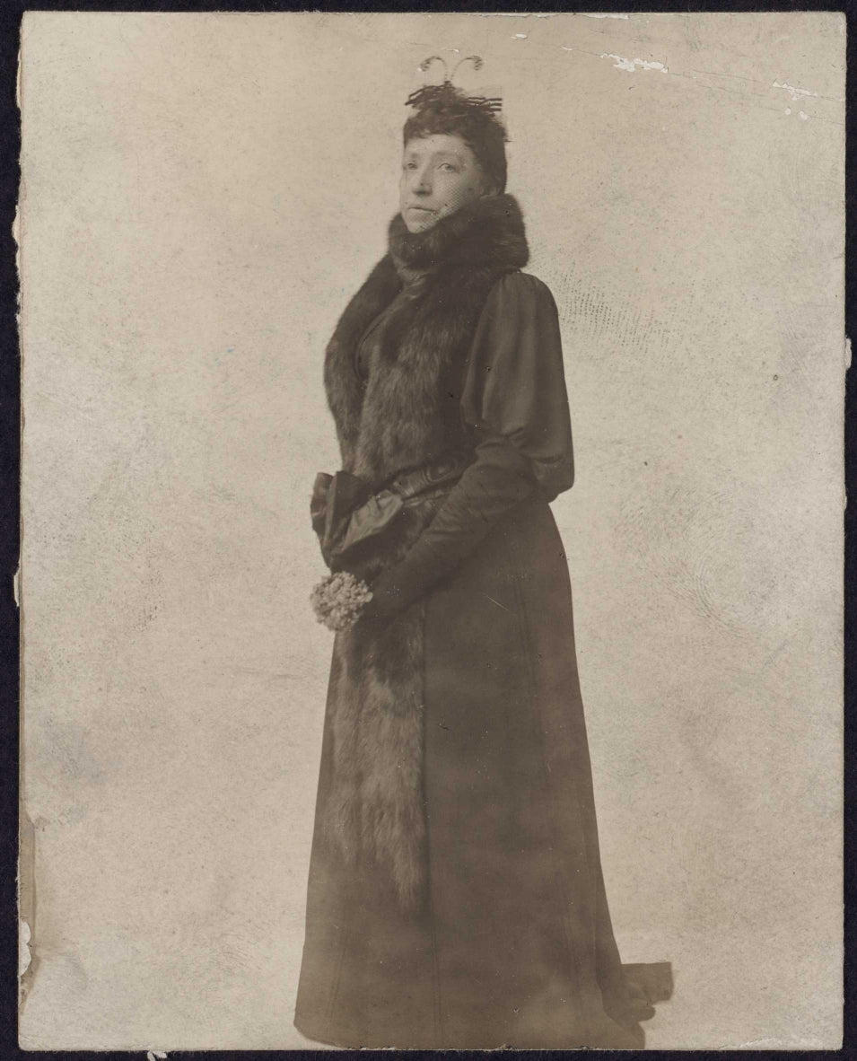 The Spirit of Violets