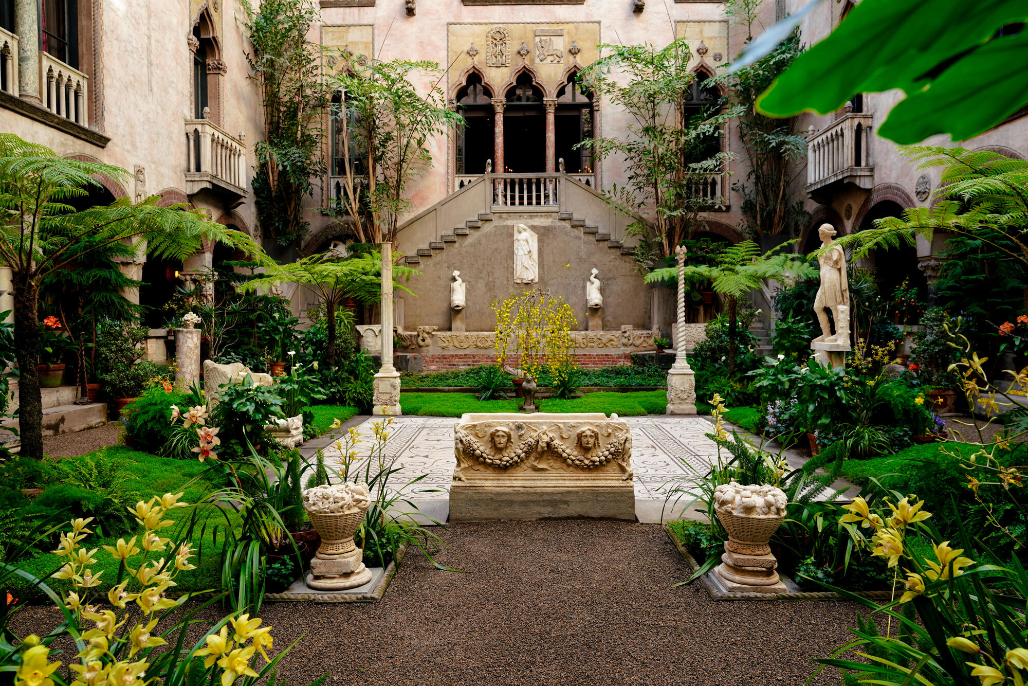 Orchids | Isabella Stewart Gardner Museum